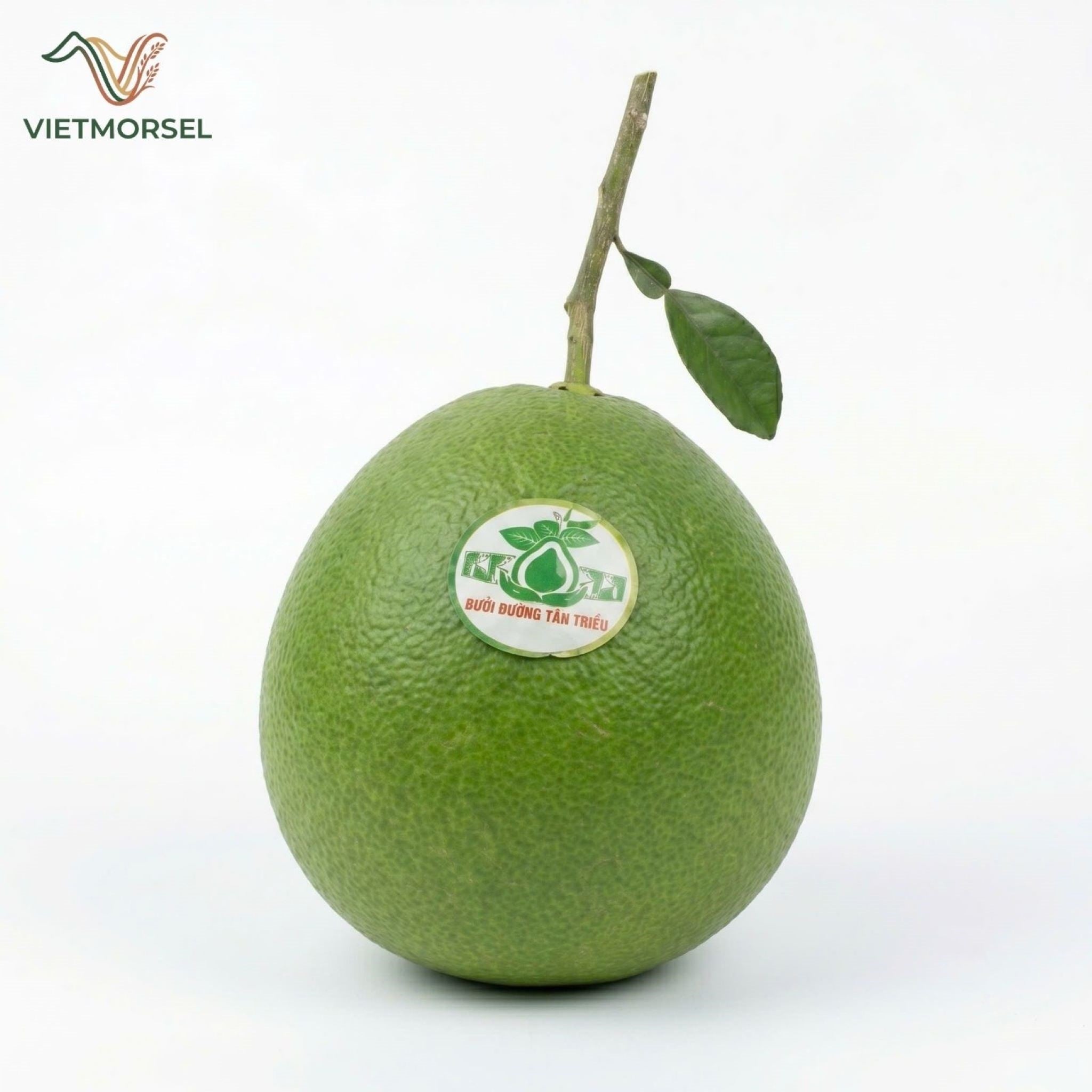 Bưởi Tân Triều – Vietmorsel